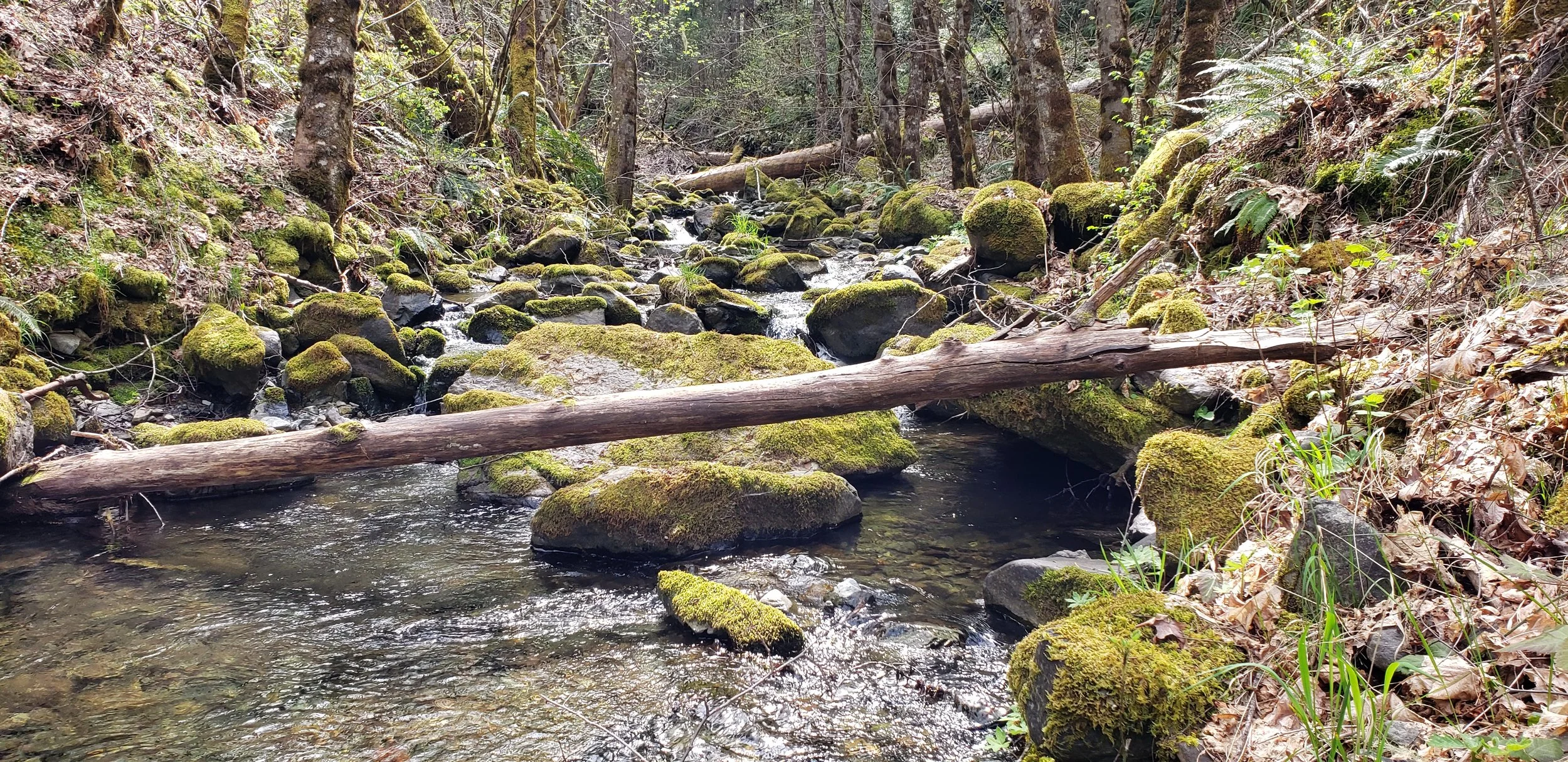 Contact — Applegate Partnership