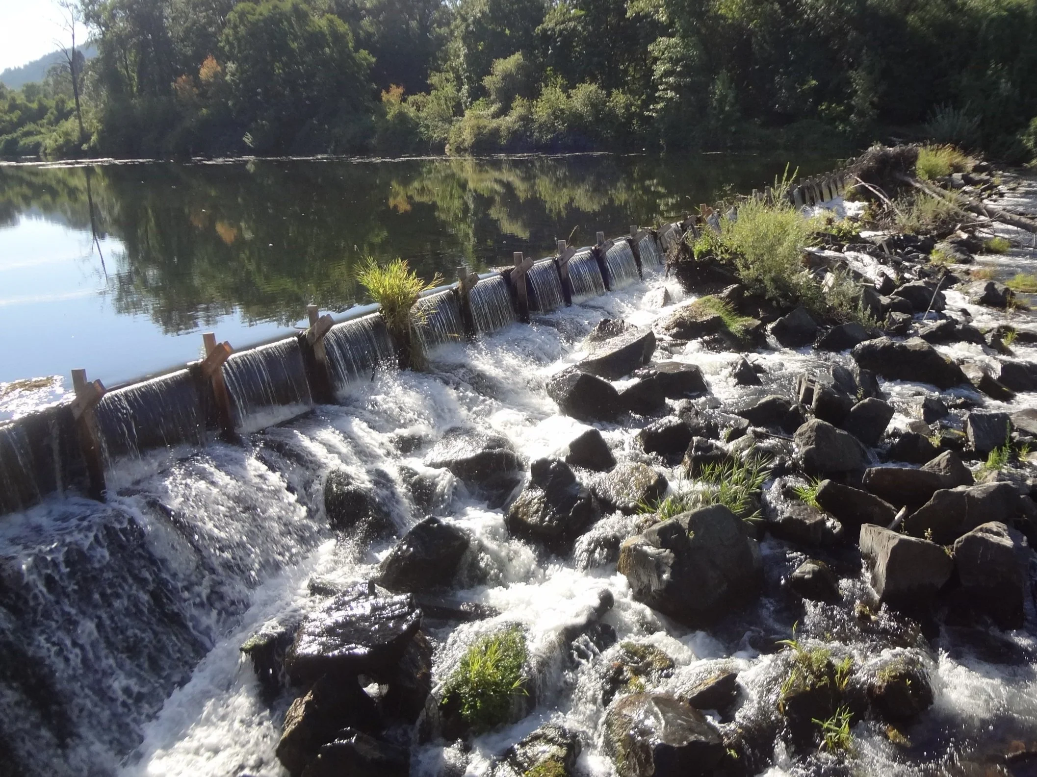 Applegate Partnership