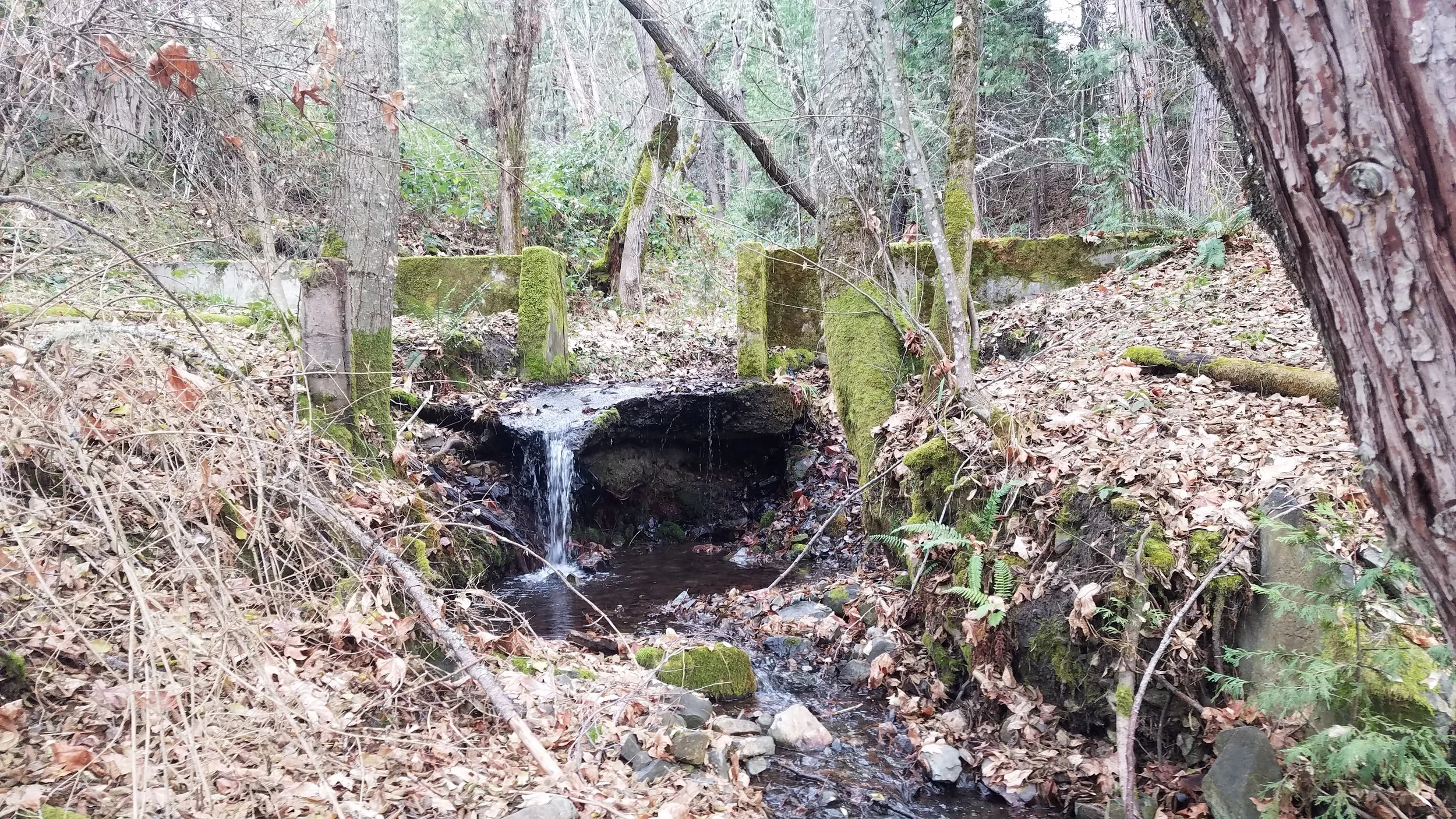 Fish Passage Program — Applegate Partnership