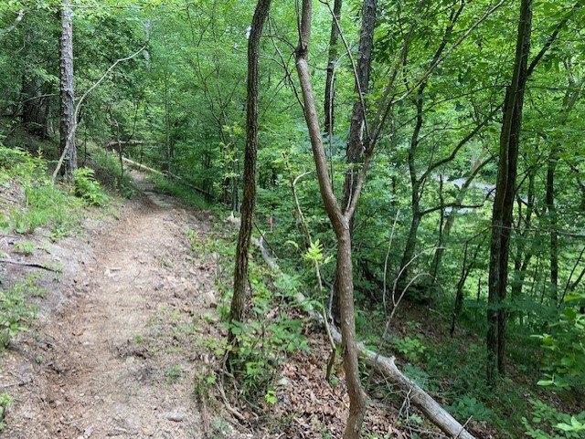 Weaver Cave Preserve — Georgia-Alabama Land Trust