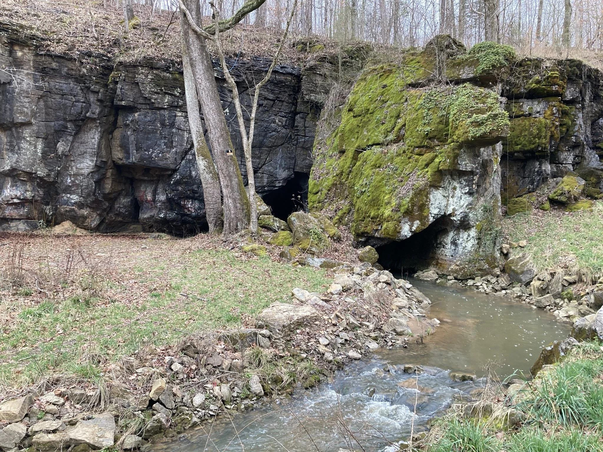 Weaver Cave Preserve — Georgia-Alabama Land Trust