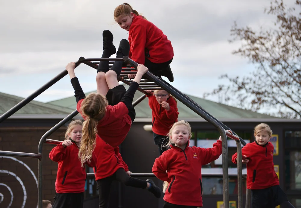 Enrolments — Mornington School