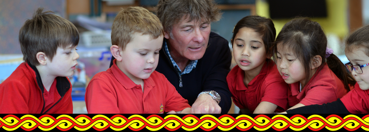 Enrolments — Mornington School