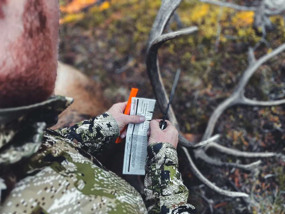 How Do Wyoming Tag Draws Work? — Hunt West