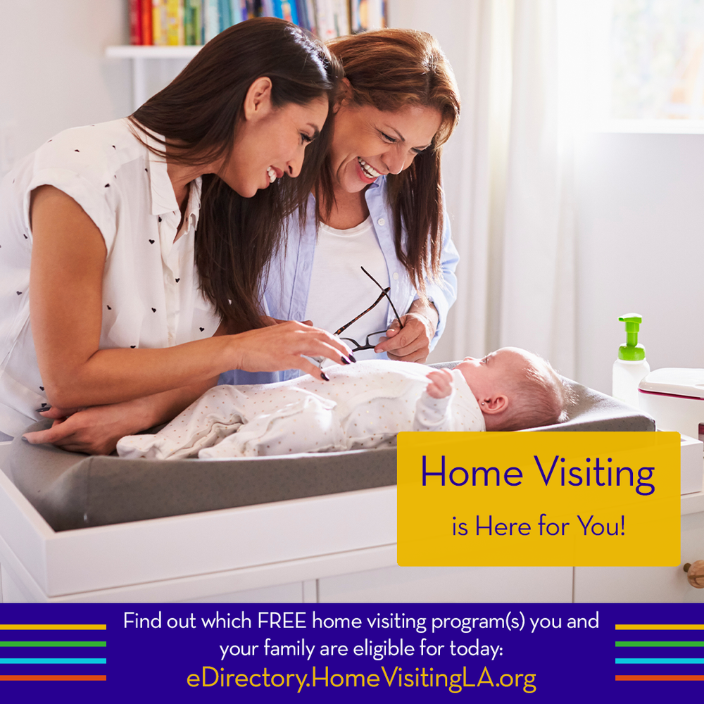 eDirectory Toolkit — Los Angeles County Perinatal and Early Childhood ...