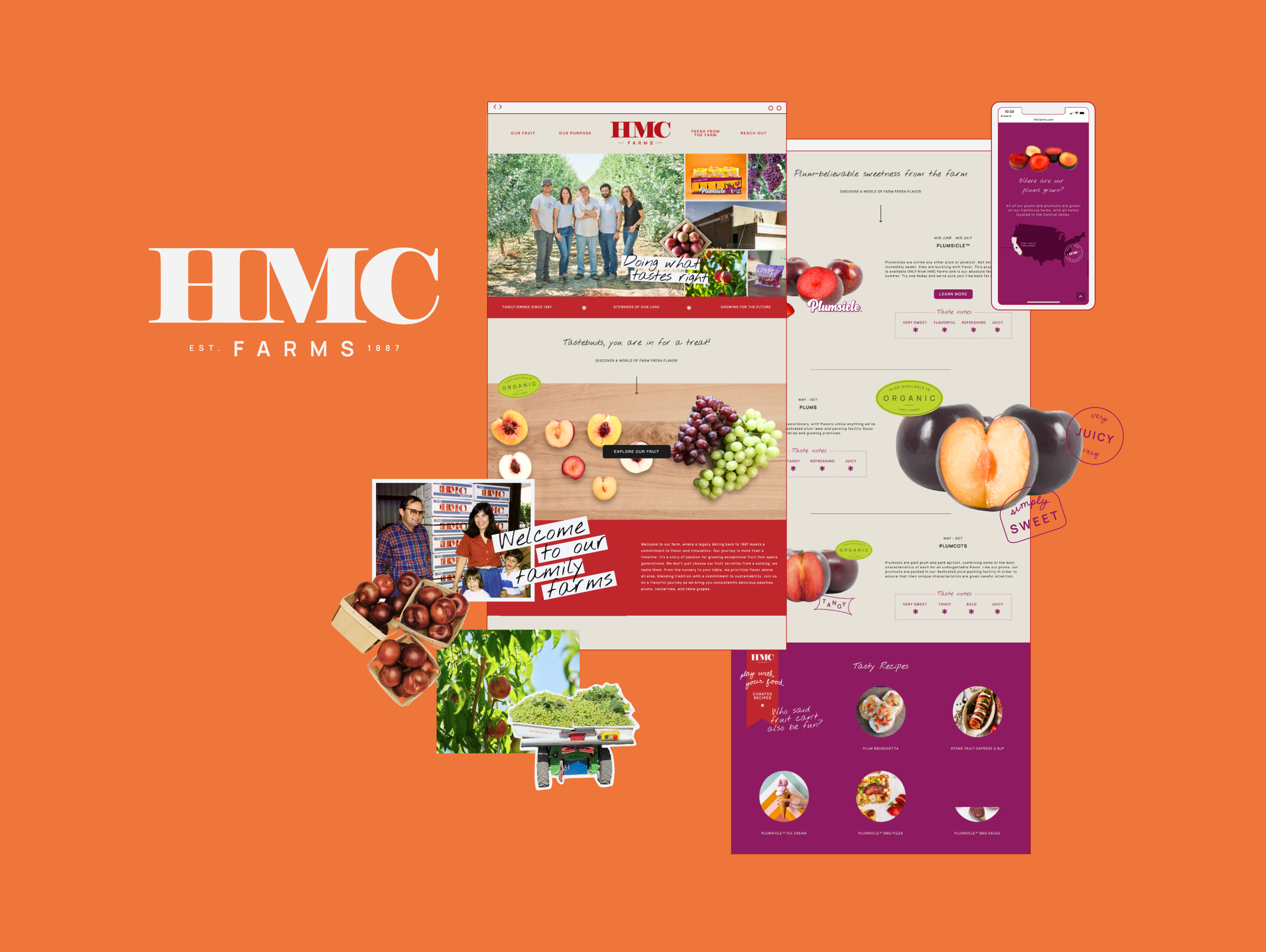 HMC Farms Website Design and Updated Visual Identity — Purveyor ...