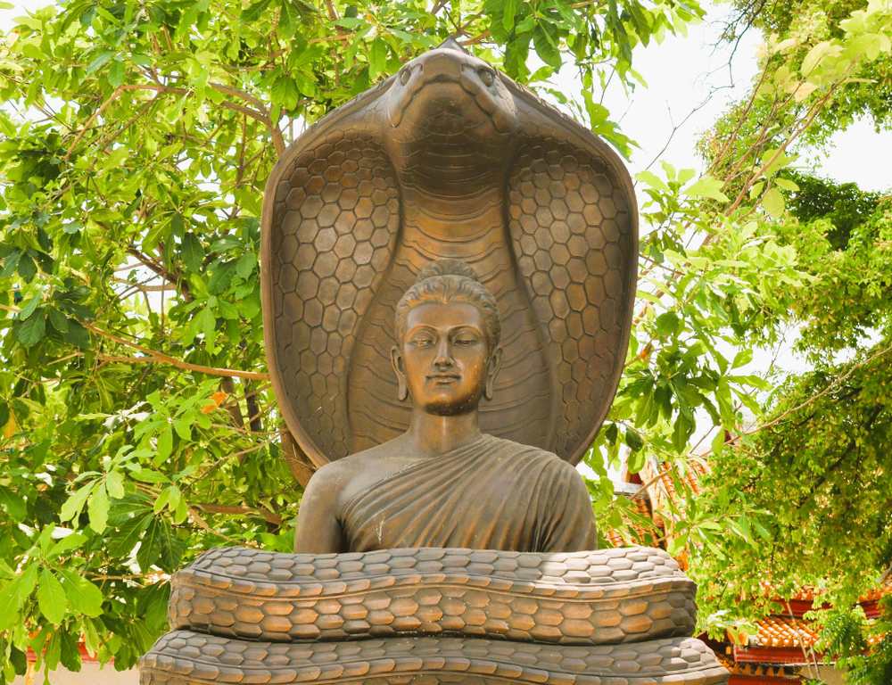 Year of Transformation! — Everyday Buddhist