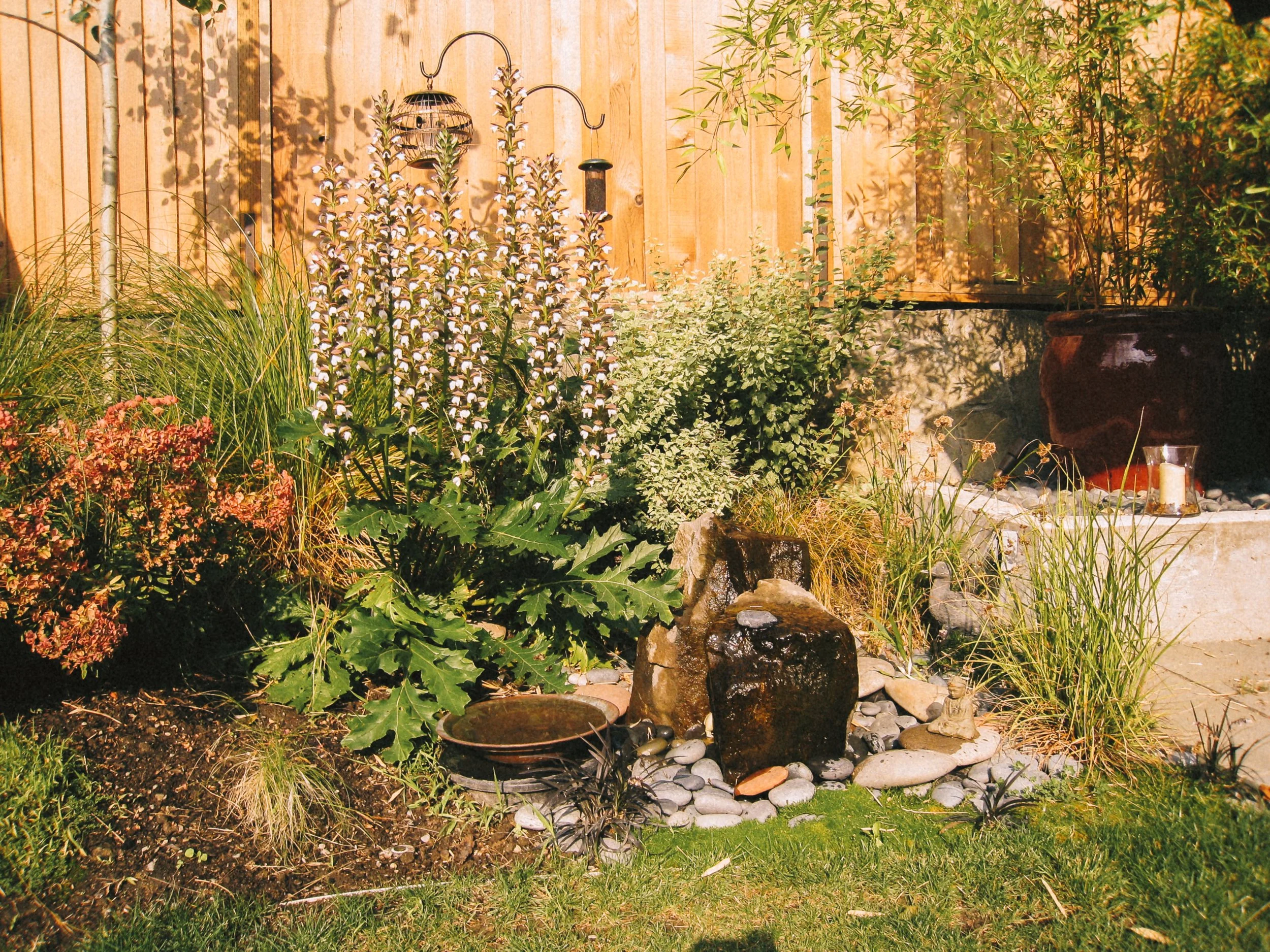 ROCK SOLID LANDSCAPES - Landscape design + Build + Maintenance