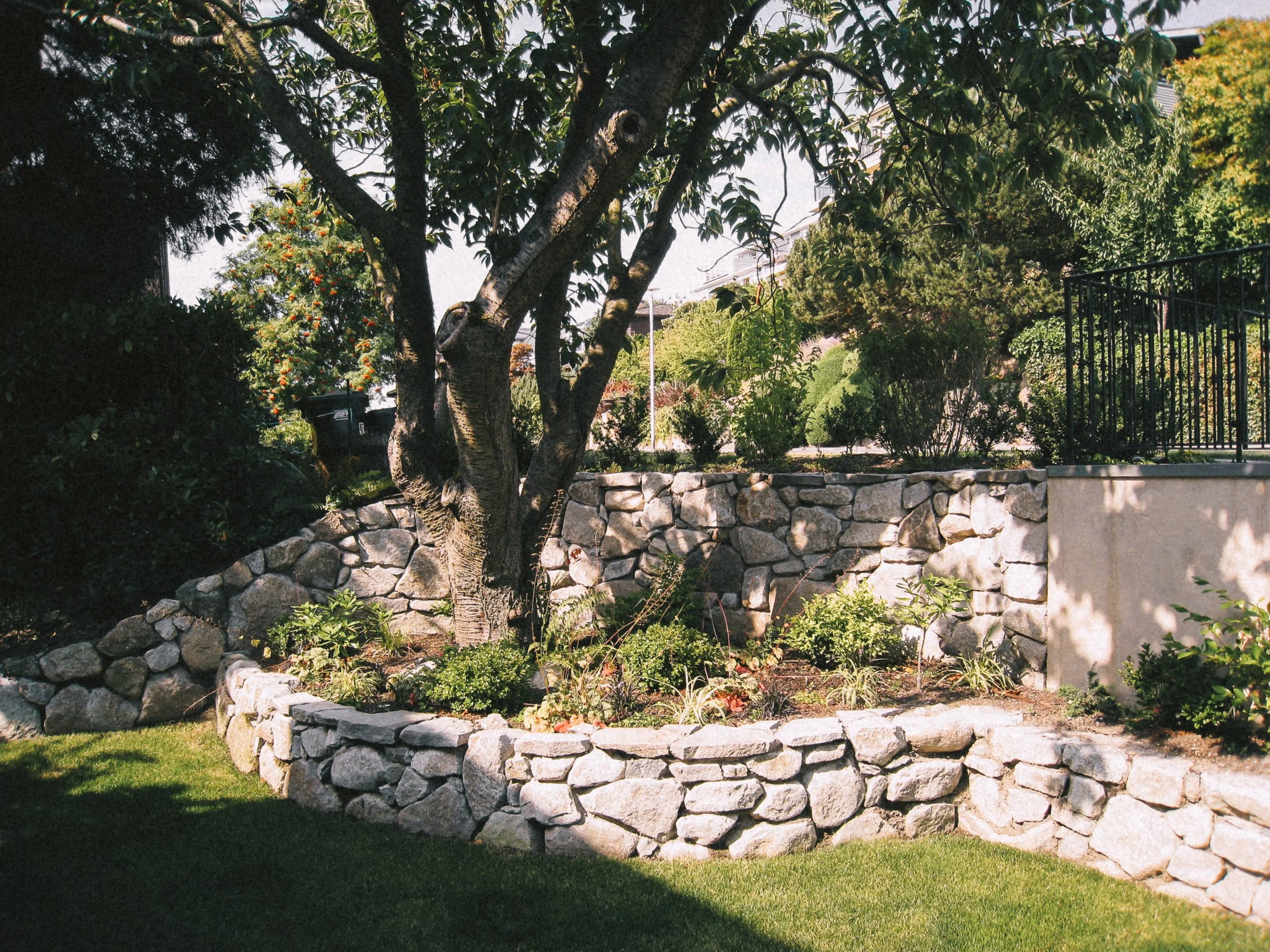 ROCK SOLID LANDSCAPES - Landscape design + Build + Maintenance