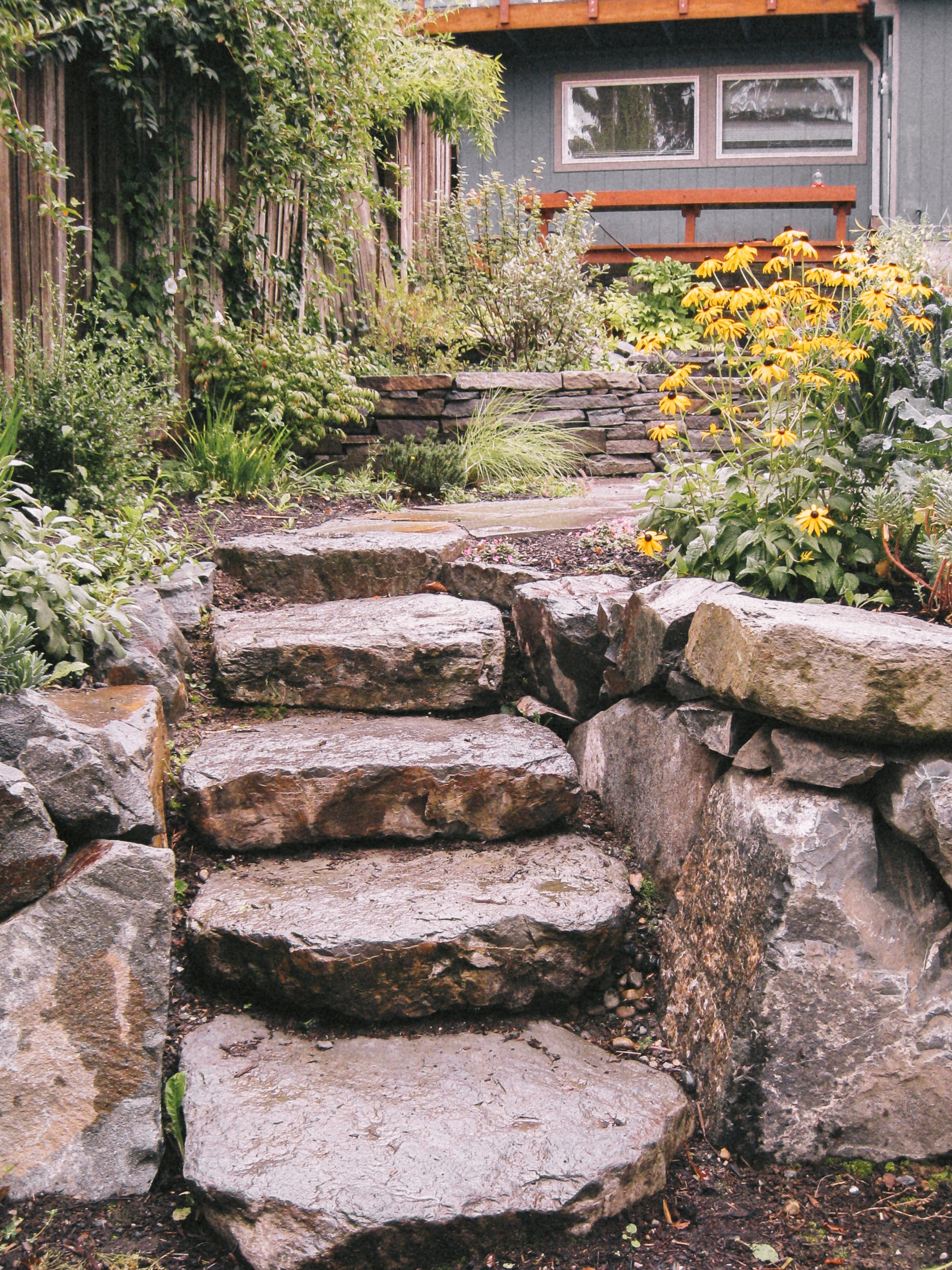 ROCK SOLID LANDSCAPES - Landscape design + Build + Maintenance