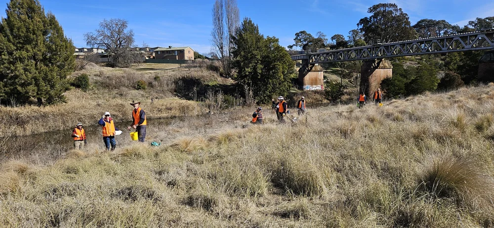 Friends of Queanbeyan River — Queanbeyan Landcare