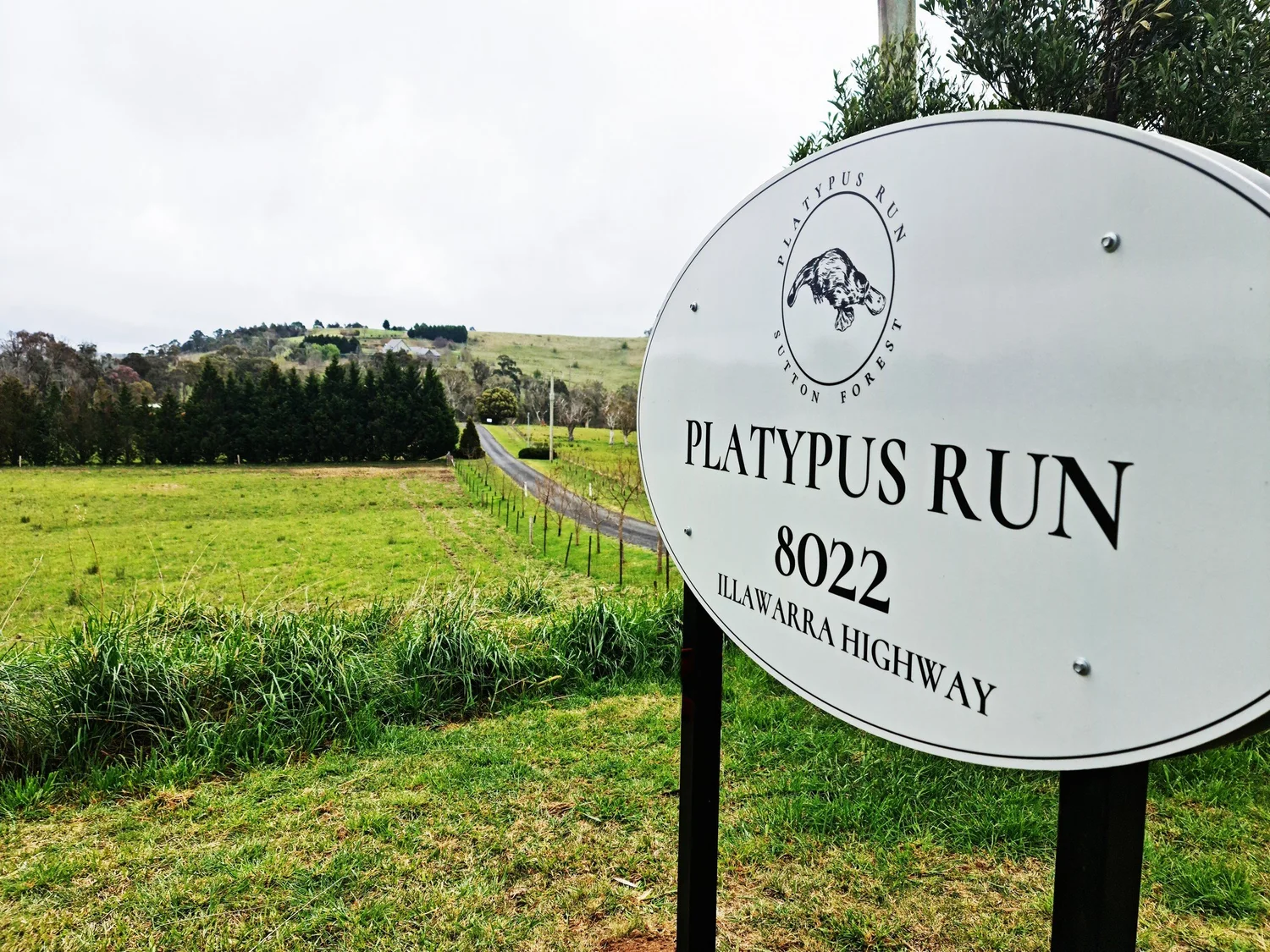 Bowral Signs