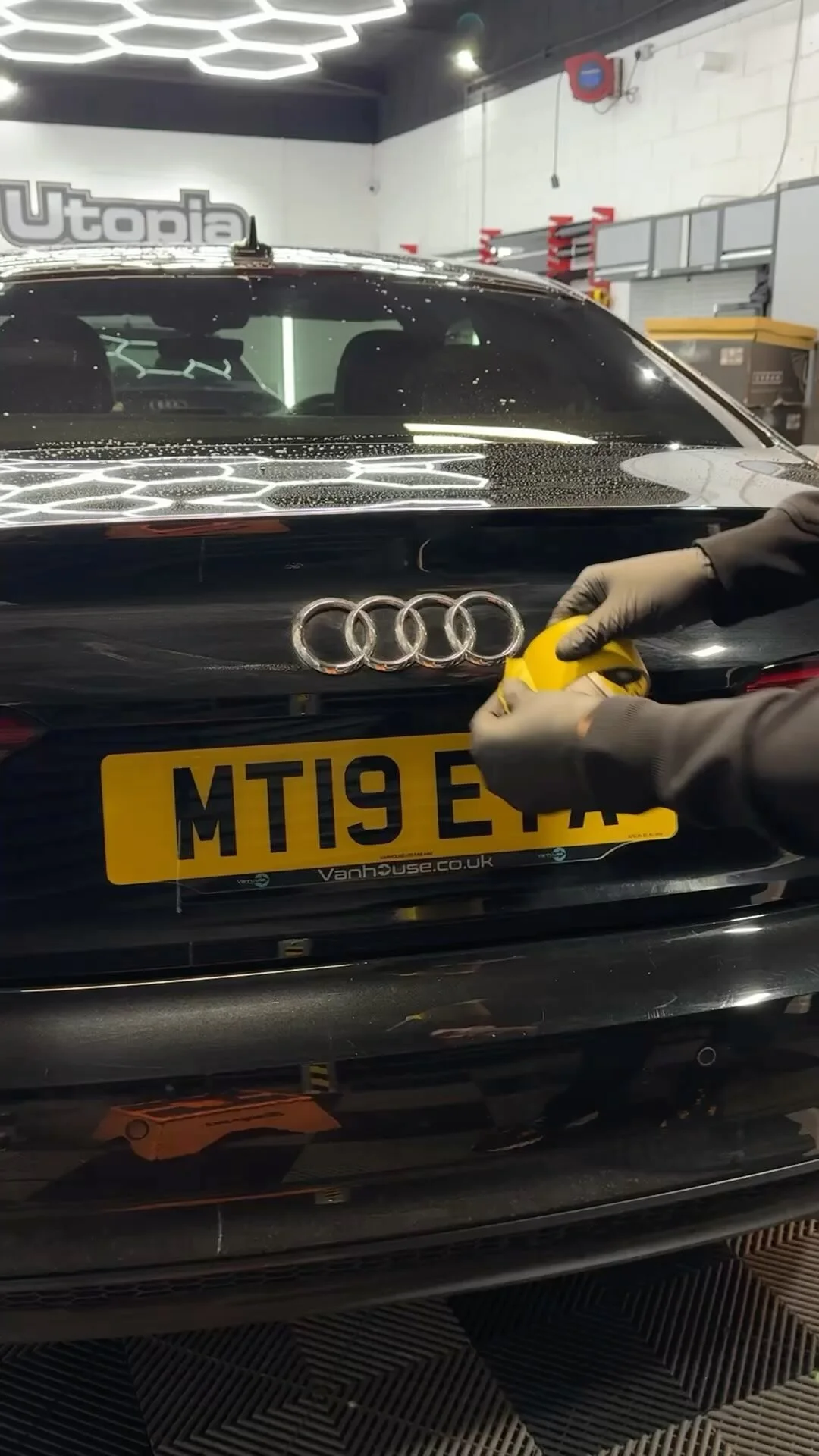 Our Work — Utopia Tints