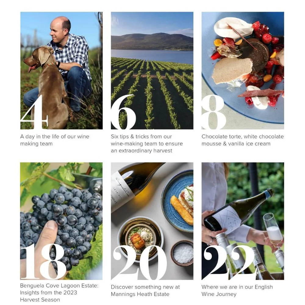 Grape Expectations Issue 20 | Read Now | Benguela Cove