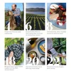 Grape Expectations Issue 20 | Read Now | Benguela Cove
