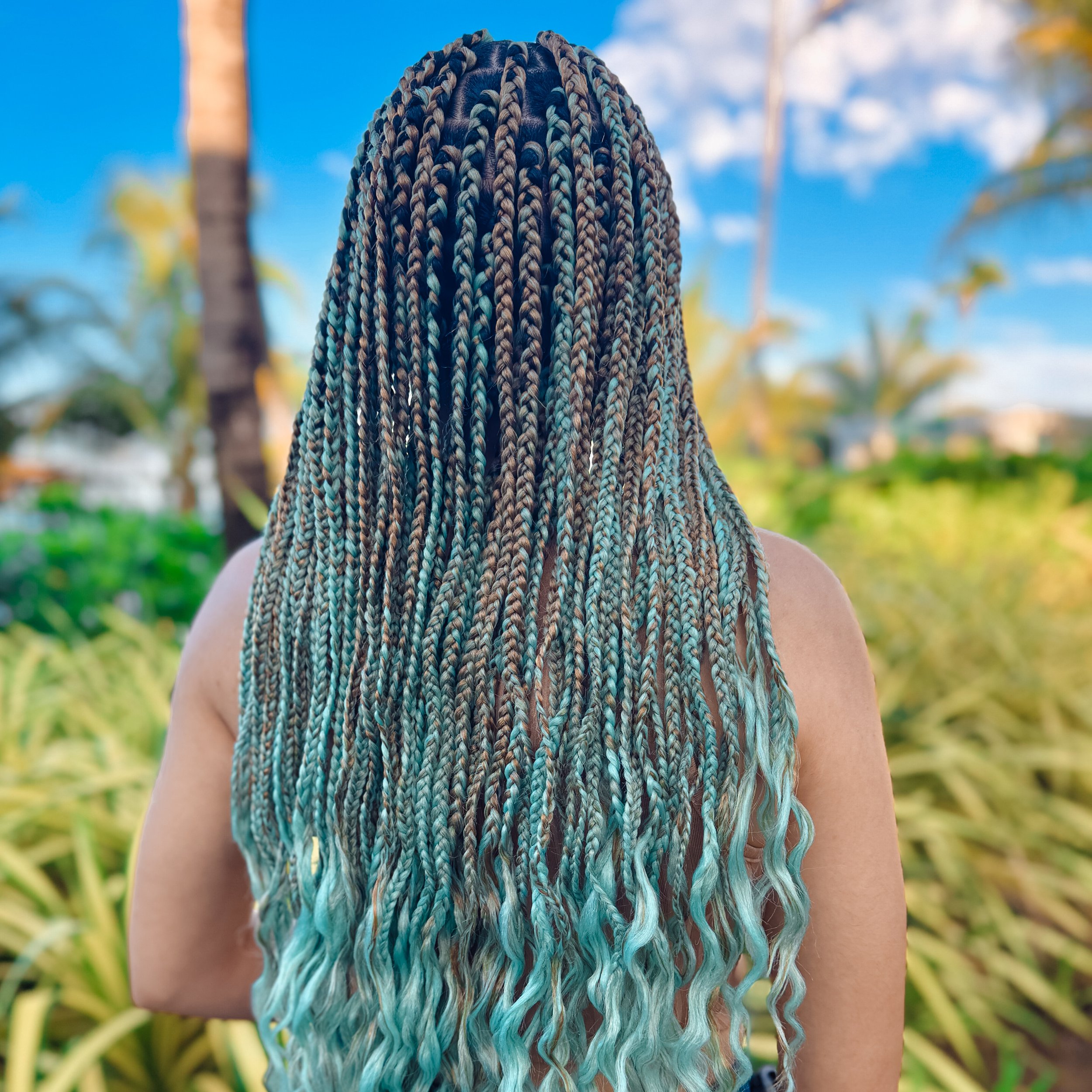 Box Braids Price Guide: How Much Should You Charge? — Sunny Braids