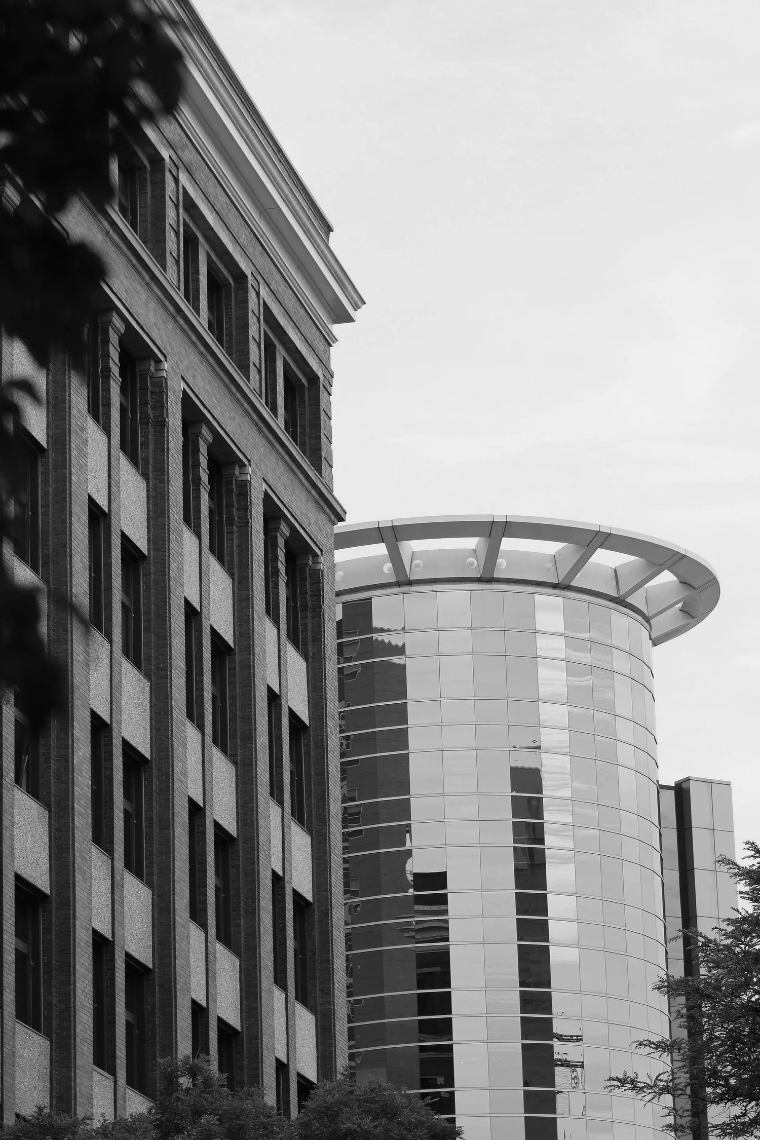 Sleeping Giant Capital