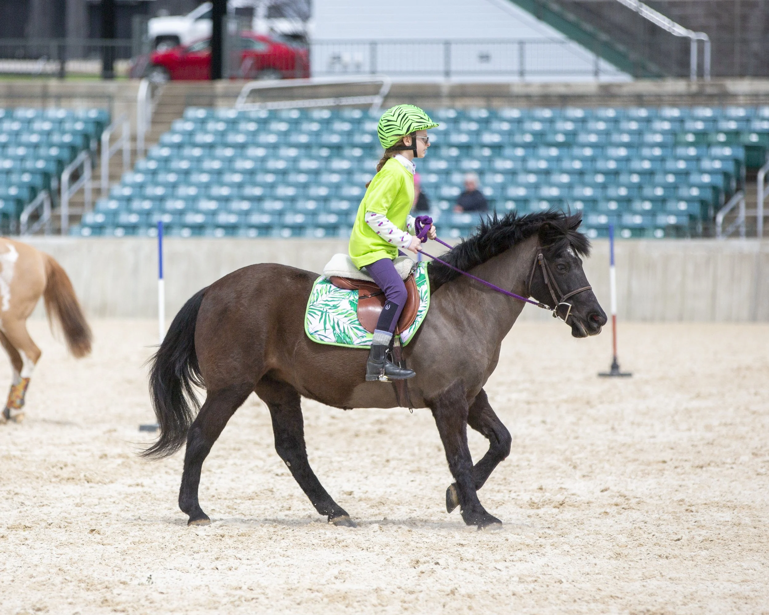 United States Mounted Games Association