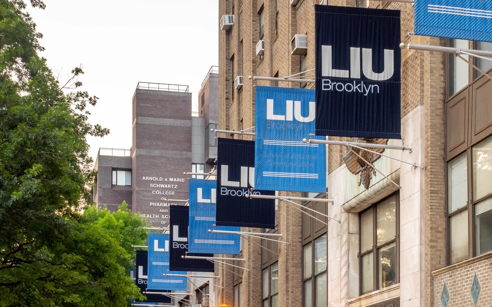 Long Island University | NYC — TMBA