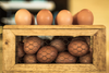 10 Tips for Selling Chicken Eggs: Maximize Profits — Roobeez