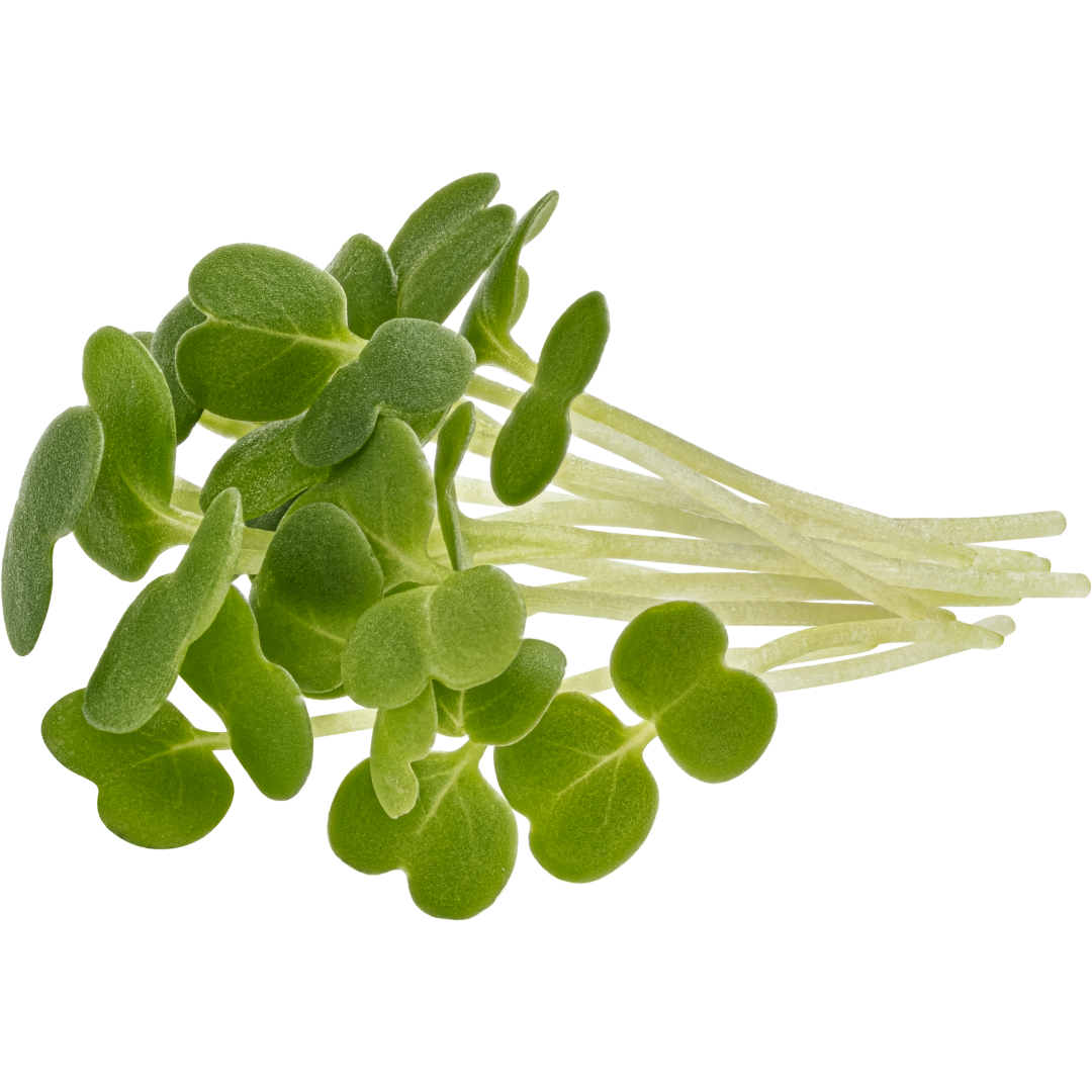 Top 10 Cash Crops for Small Farms: Easy and Profitable Choices — Roobeez