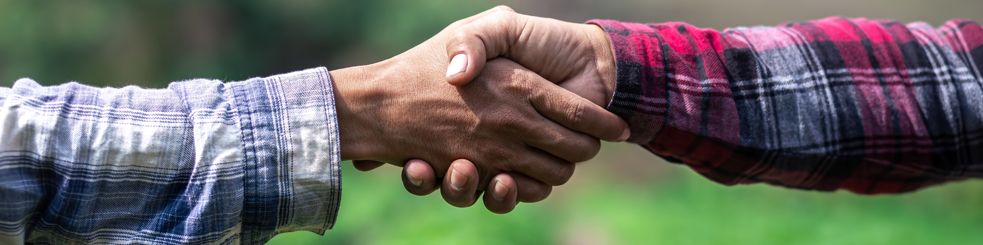 Barter Booth — Roobeez