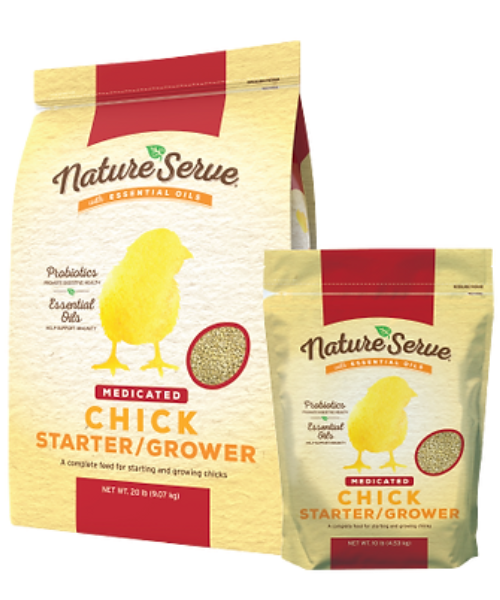 Best Chick Starter Feed: Medicated Chick Feed vs. Non-Medicated Chick ...