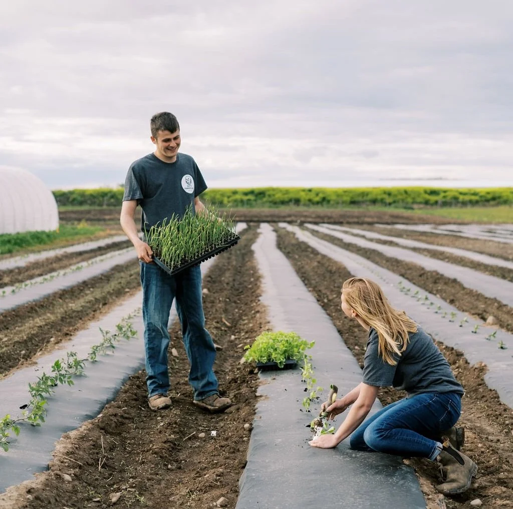 Our Story — Kay's FarmStand