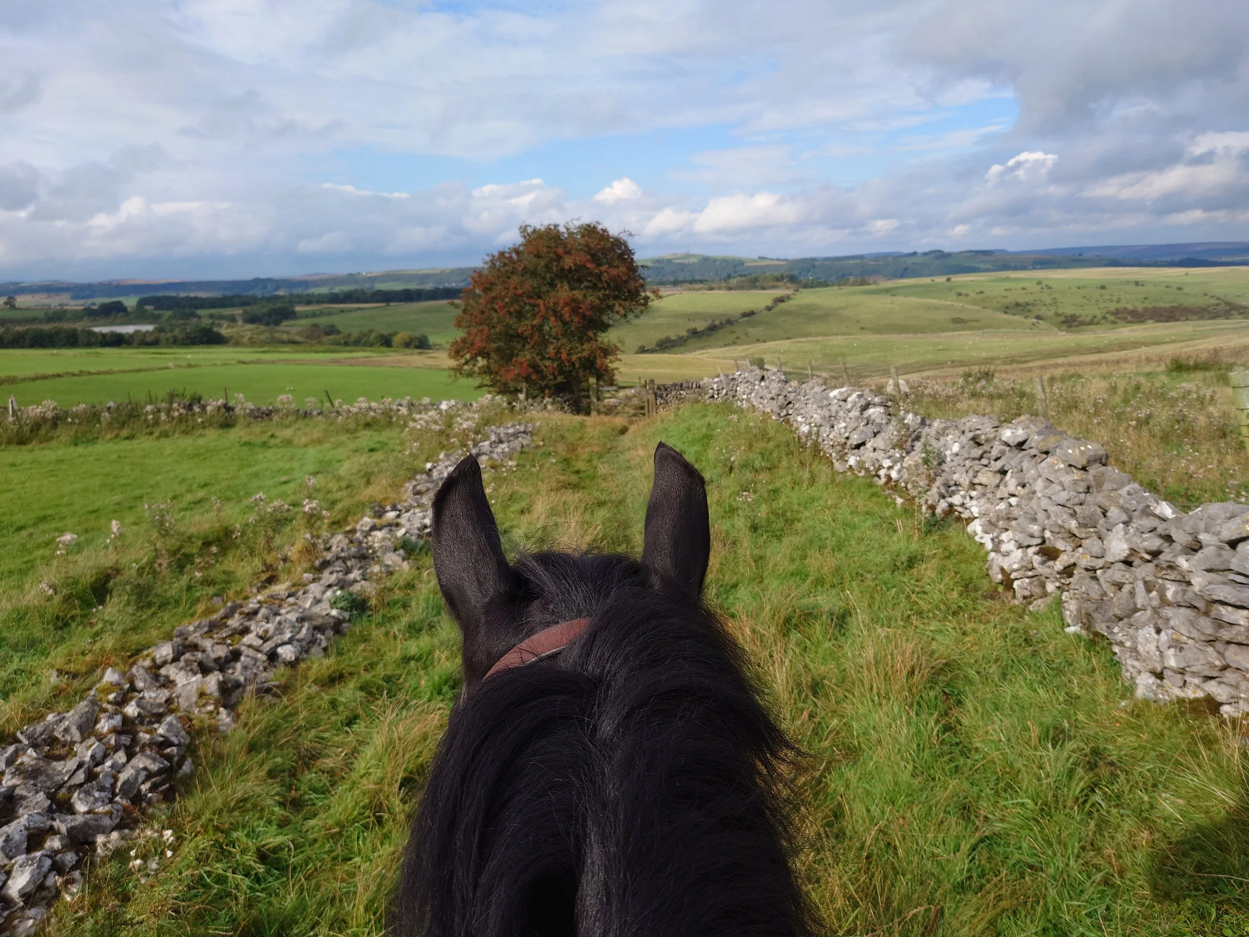 Ride Routes — Peak District Guided Horse Rides