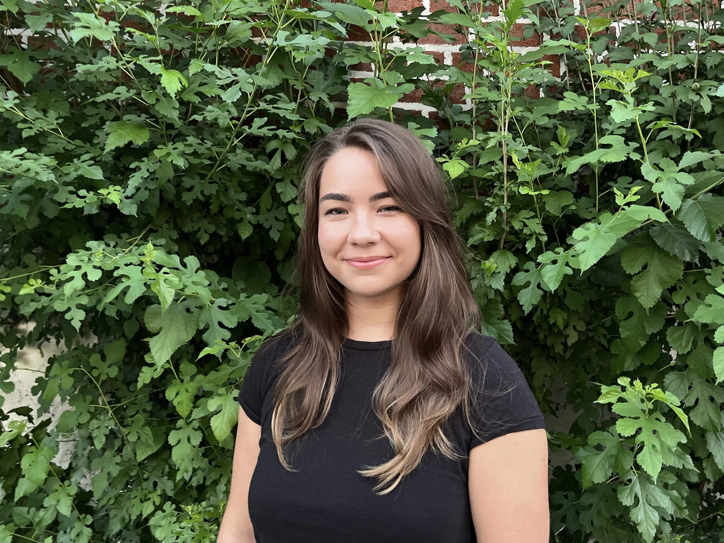 Who We Are — New City Parks