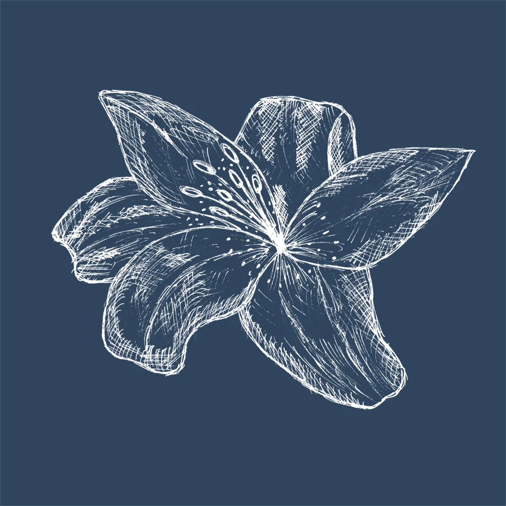 Paton's Petals Florist | Bowling, Dumbarton