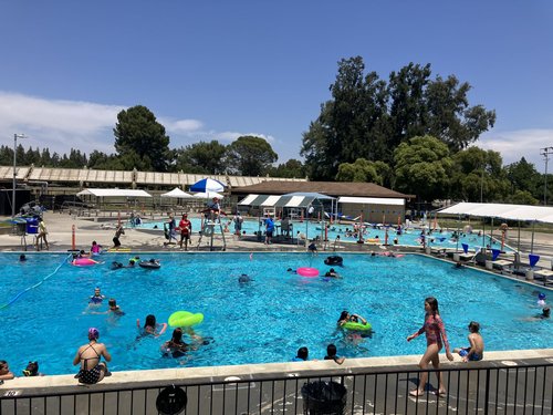 Davis Community Pool — DART Swimming