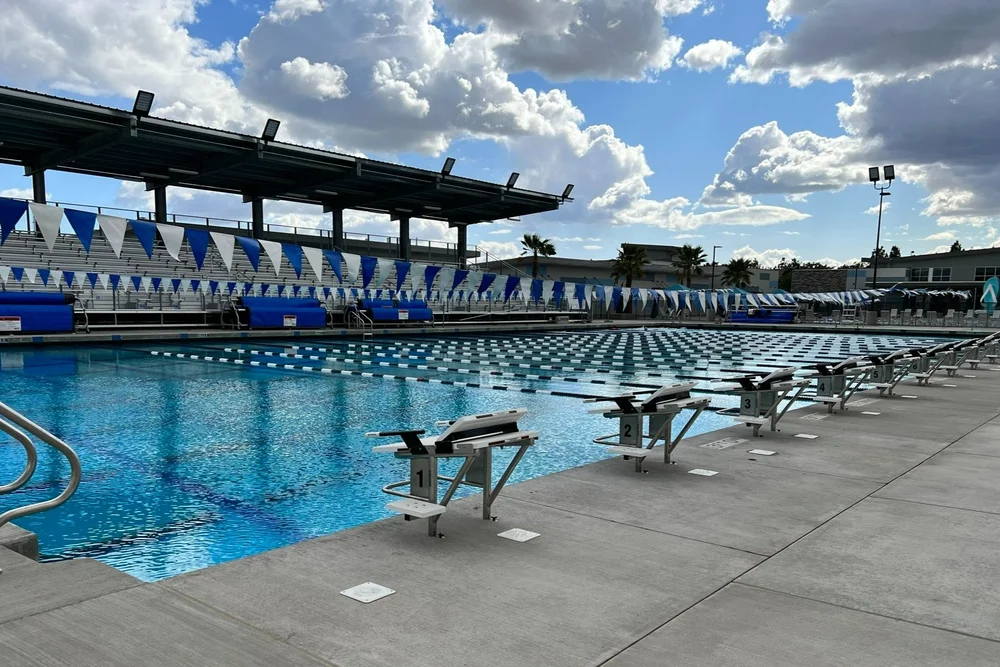 Futures 2025 — DART Swimming