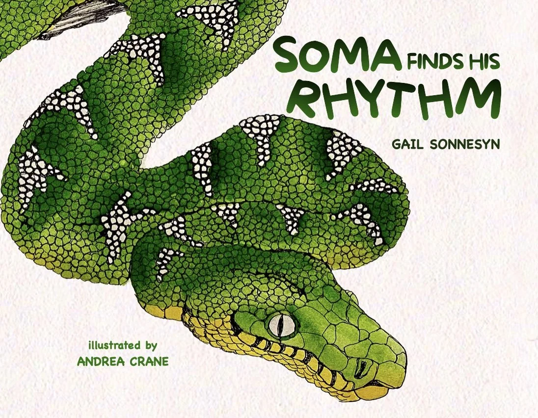 Soma Finds His Rhythm - Hardcover Book — Indigo Breath and Wellness, Inc.