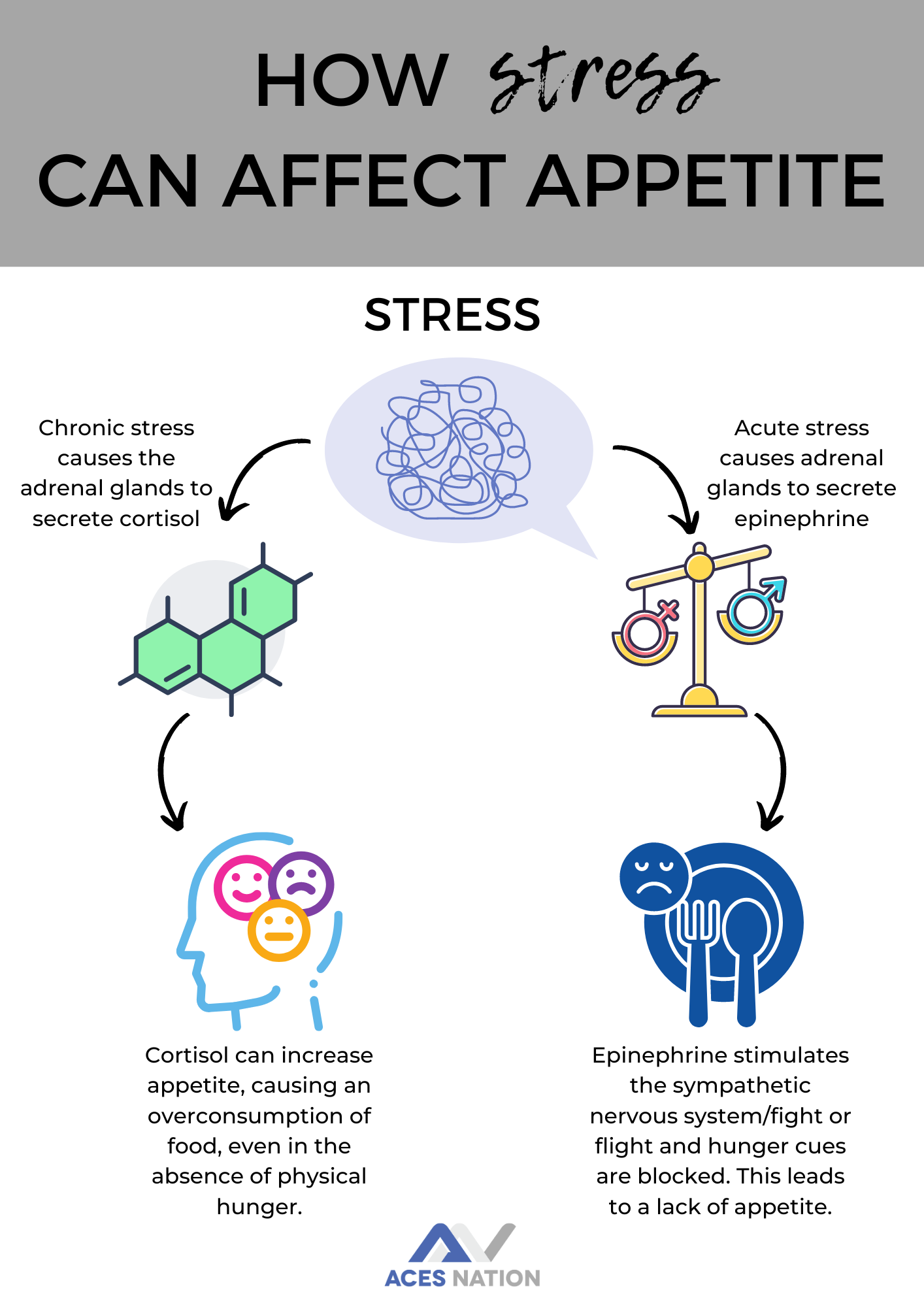 The Impact of Stress on Appetite: Insights for Athletes — ACES Nation