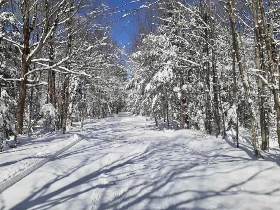 Pulaski Boylston Snowmobile Club