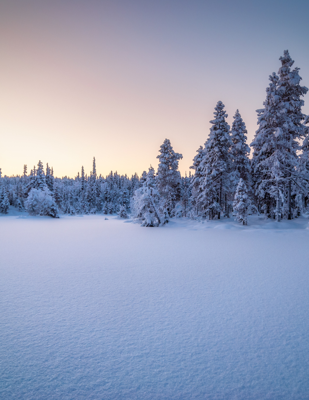 Pulaski Boylston Snowmobile Club