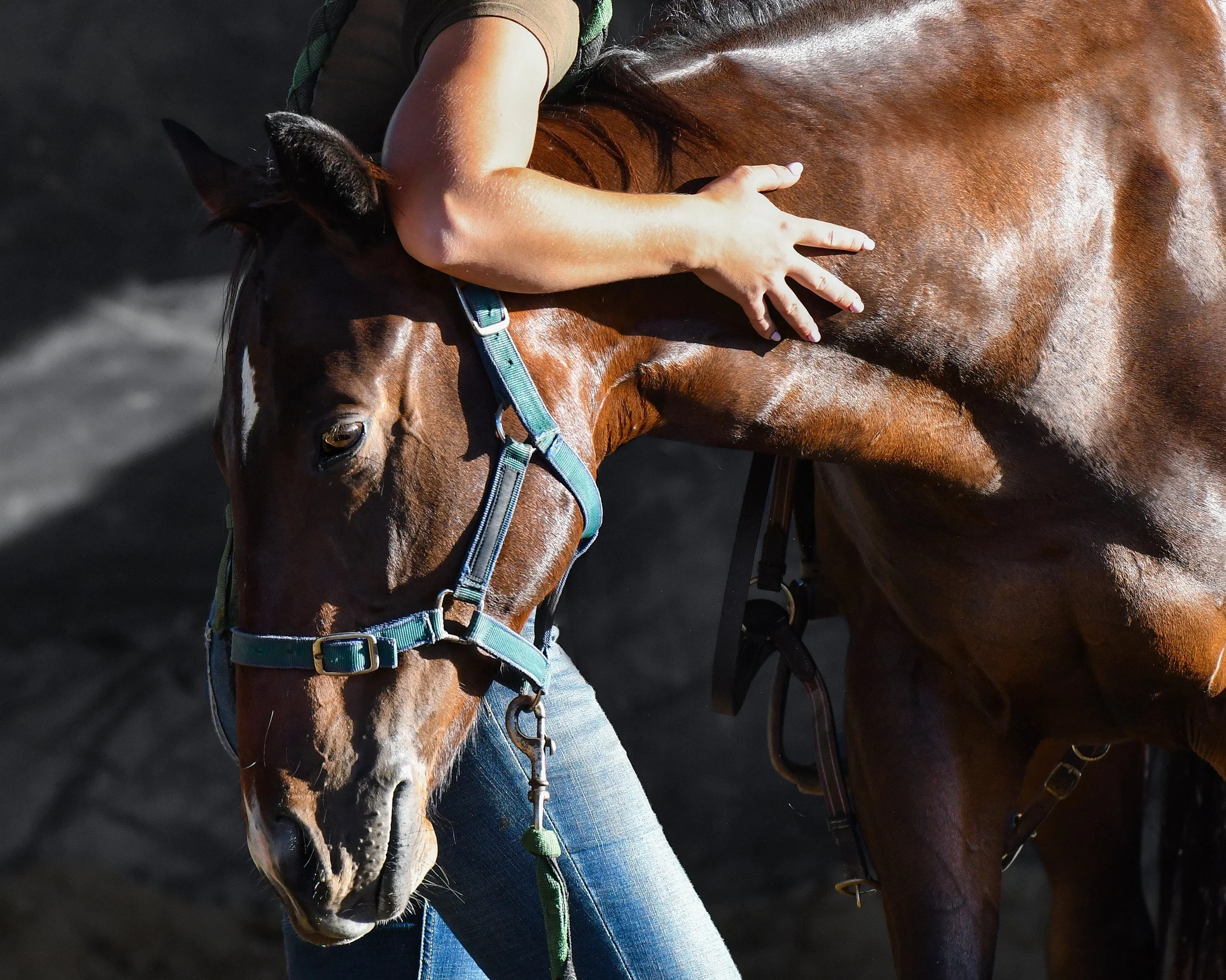 EMPLOYMENT — Fenwick Farm