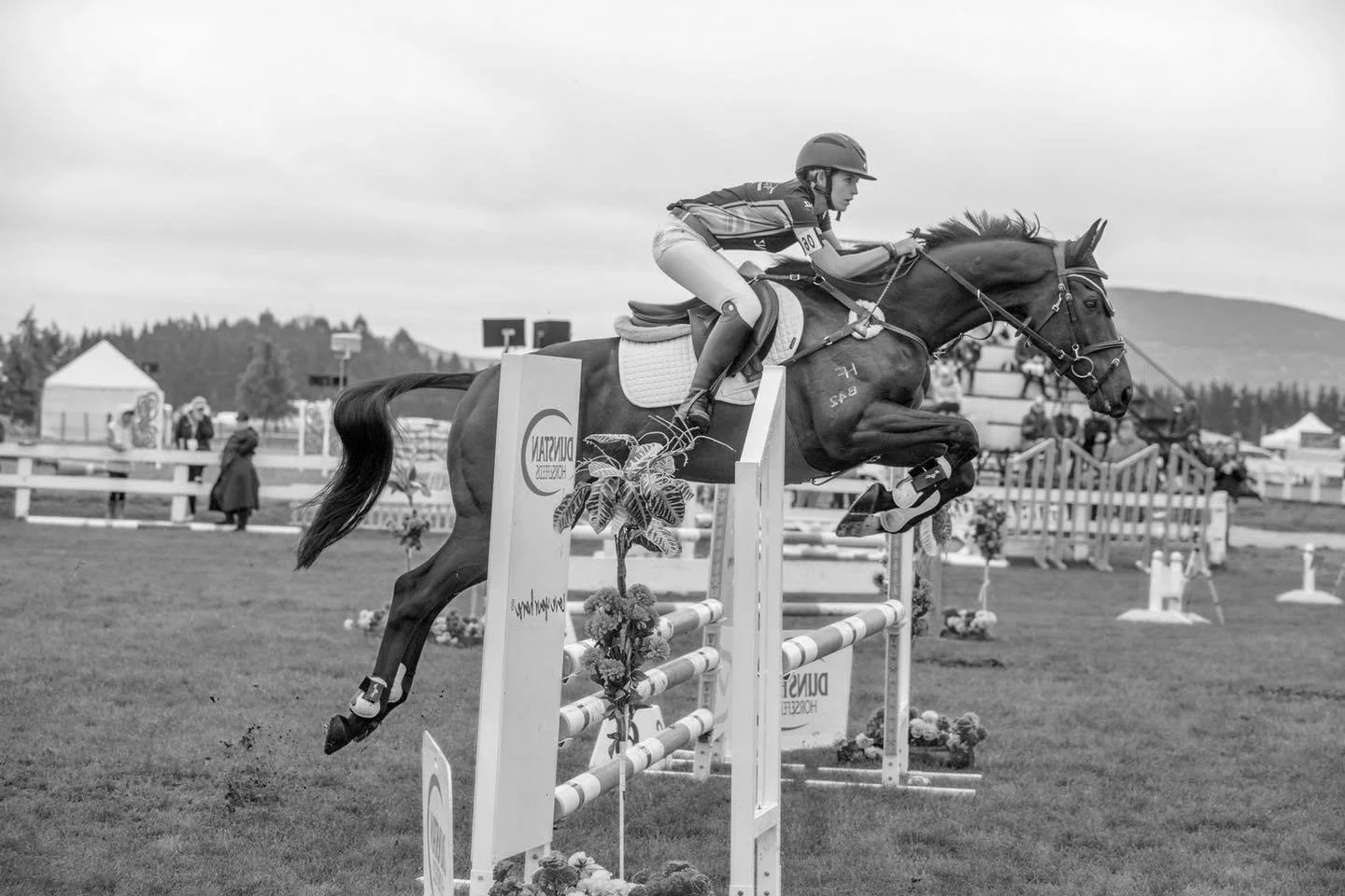 Horse Riding Lessons, Auckland