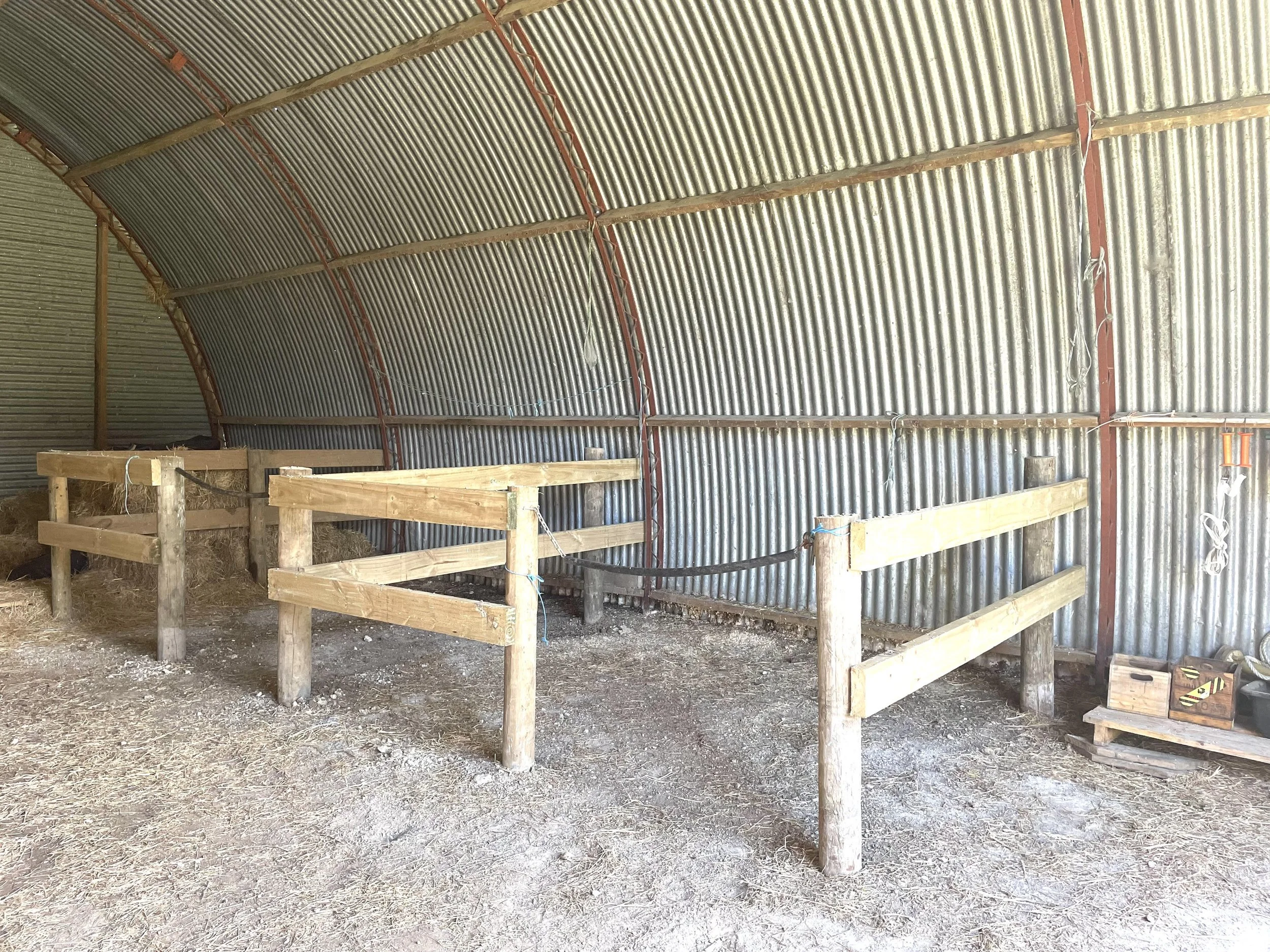 Horse Riding Lessons, Auckland