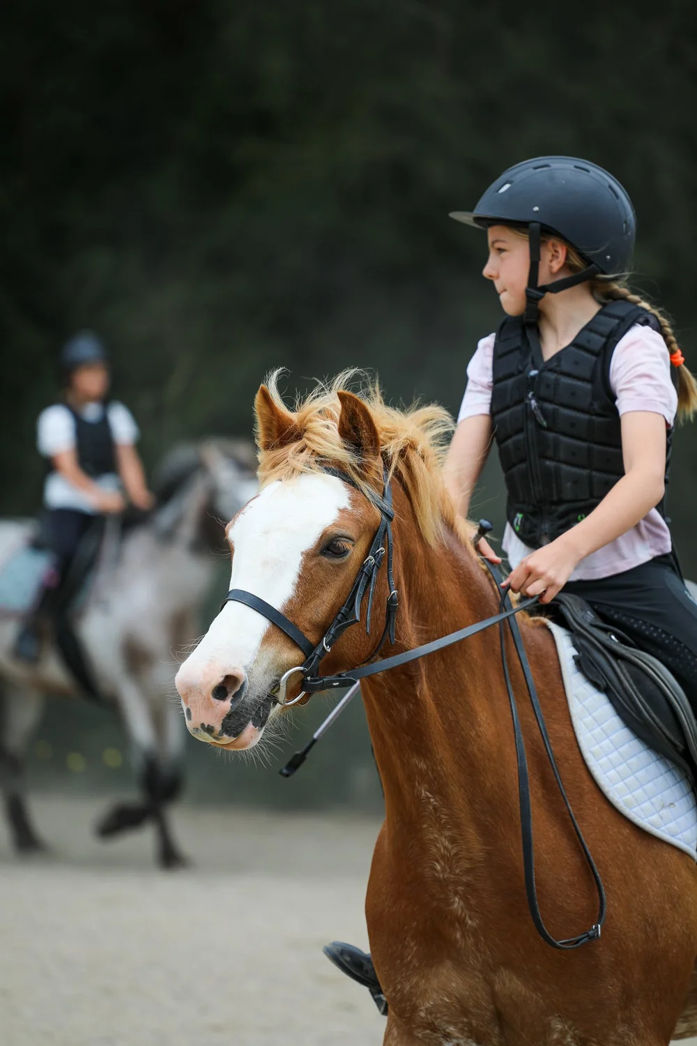 Horse Riding Lessons, Auckland