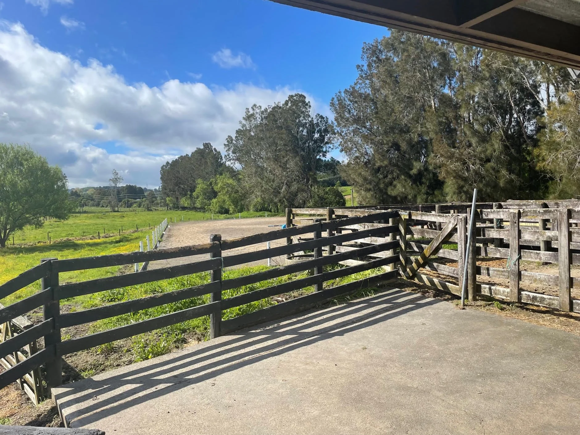 Horse Riding Lessons, Auckland