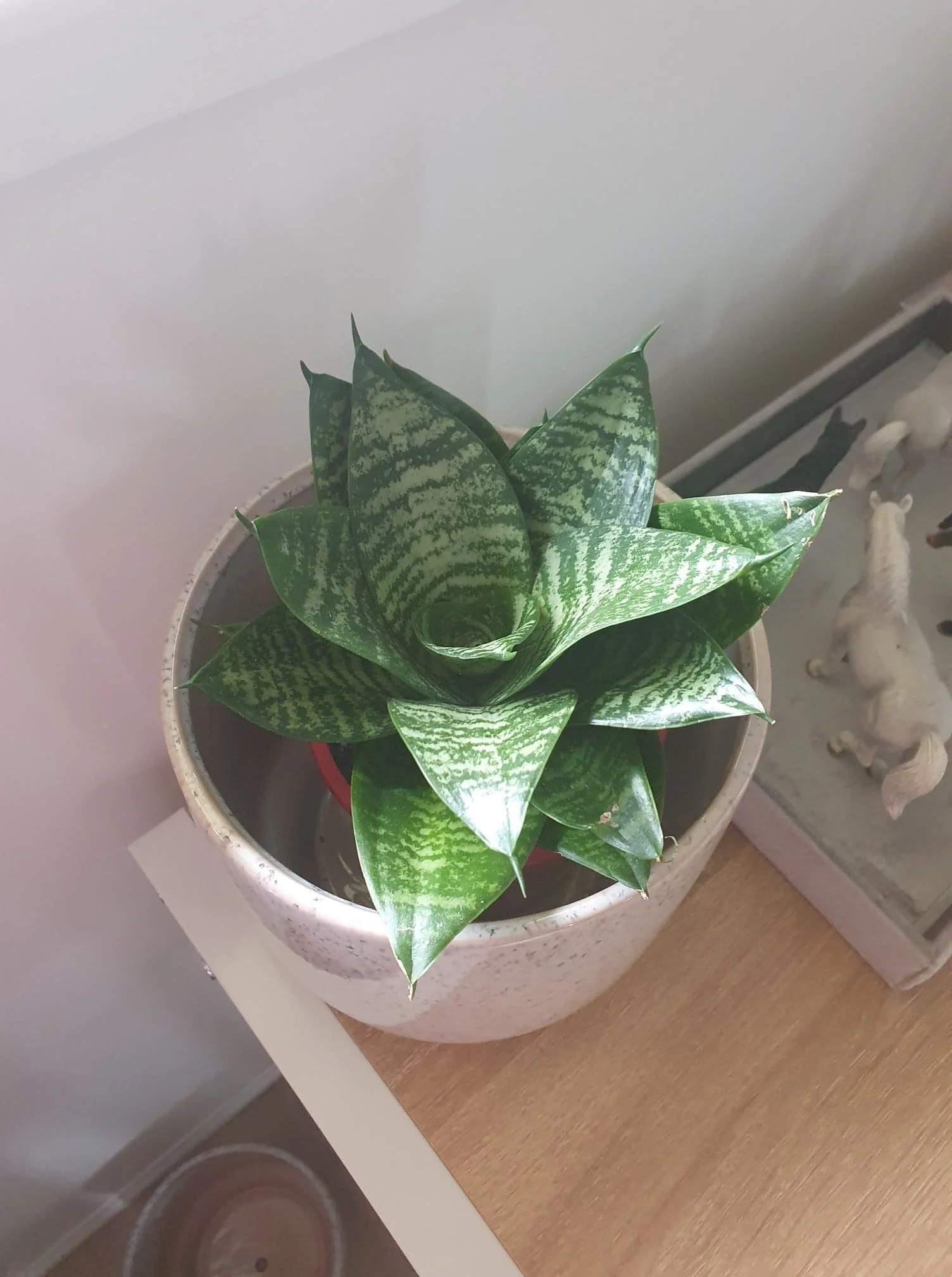 About counselling with Rachel Whitton — Terebinth Tree Counselling and ...