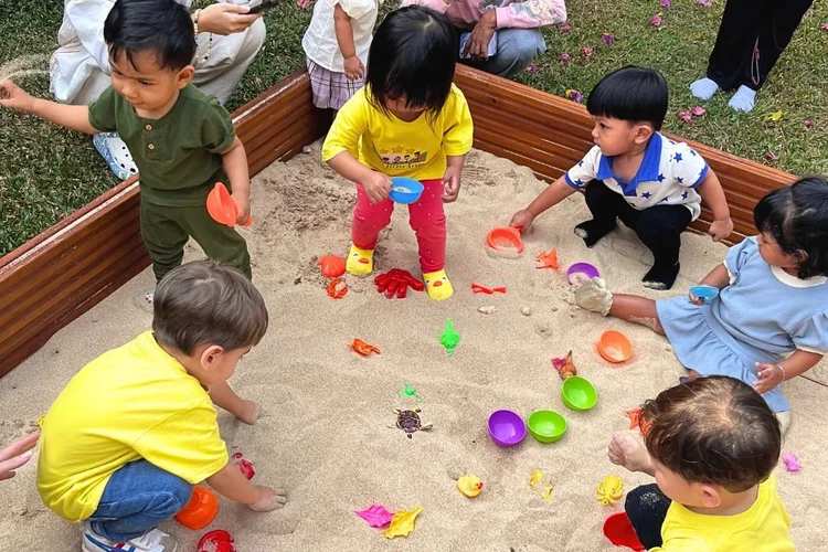 Bright Little Stars - Preschool & Early Childhood Education