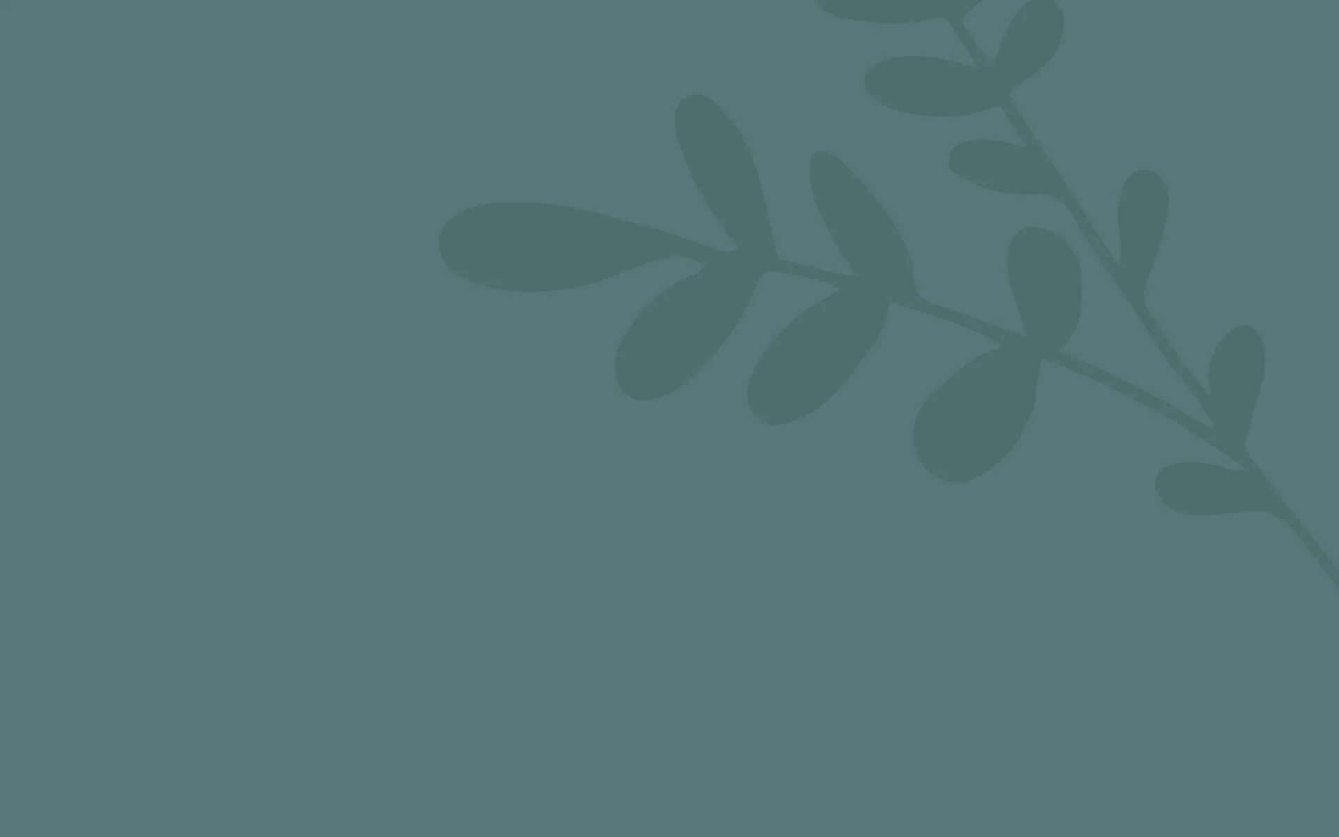 DBT- What is it? — RenewMe