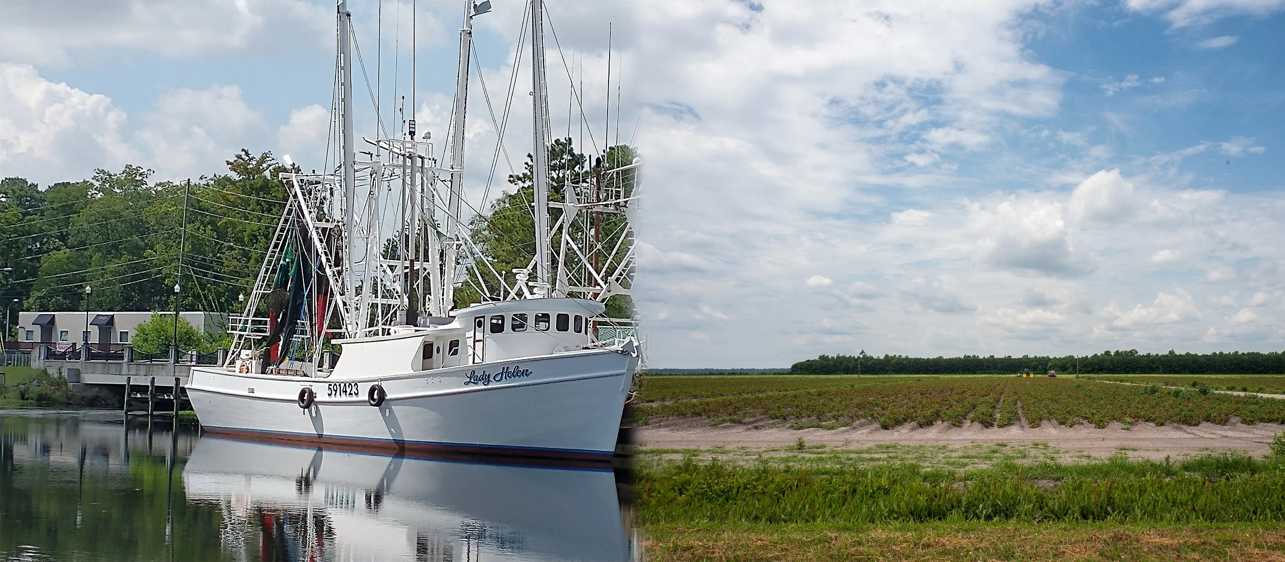 Aurora Fish and Farm Festival