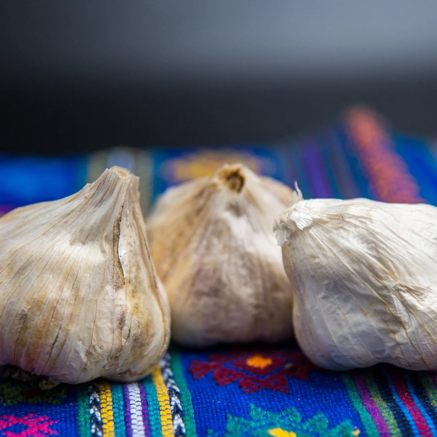 Early Italian Softeneck Seed Garlic for Sale — Southern Seed Garlic