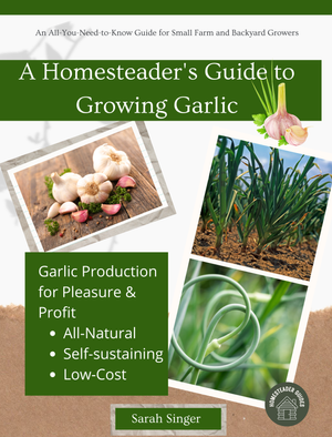 Duganski Hardneck Seed Garlic — Southern Seed Garlic