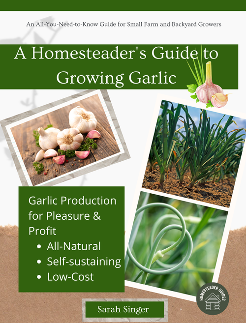 Duganski Hardneck Seed Garlic — Southern Seed Garlic