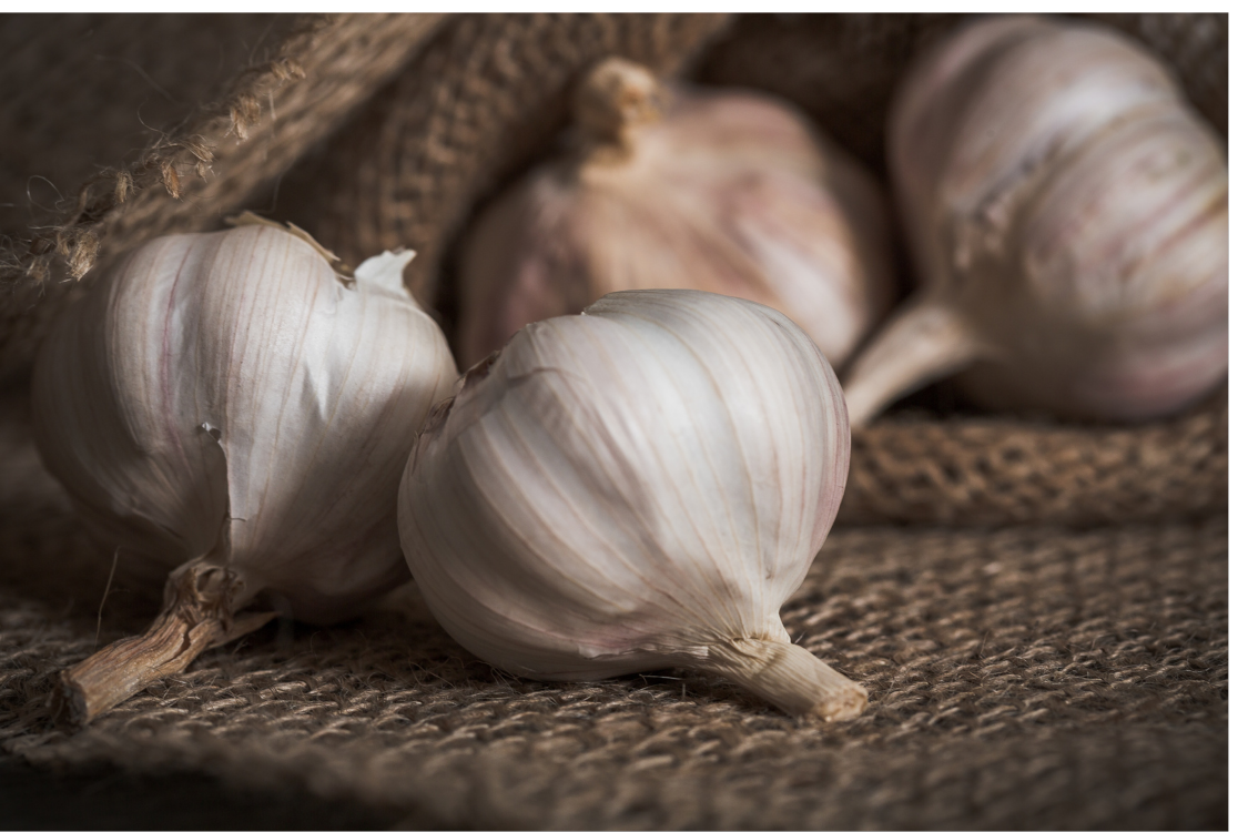 How to Make Comfrey Salve — Southern Seed Garlic